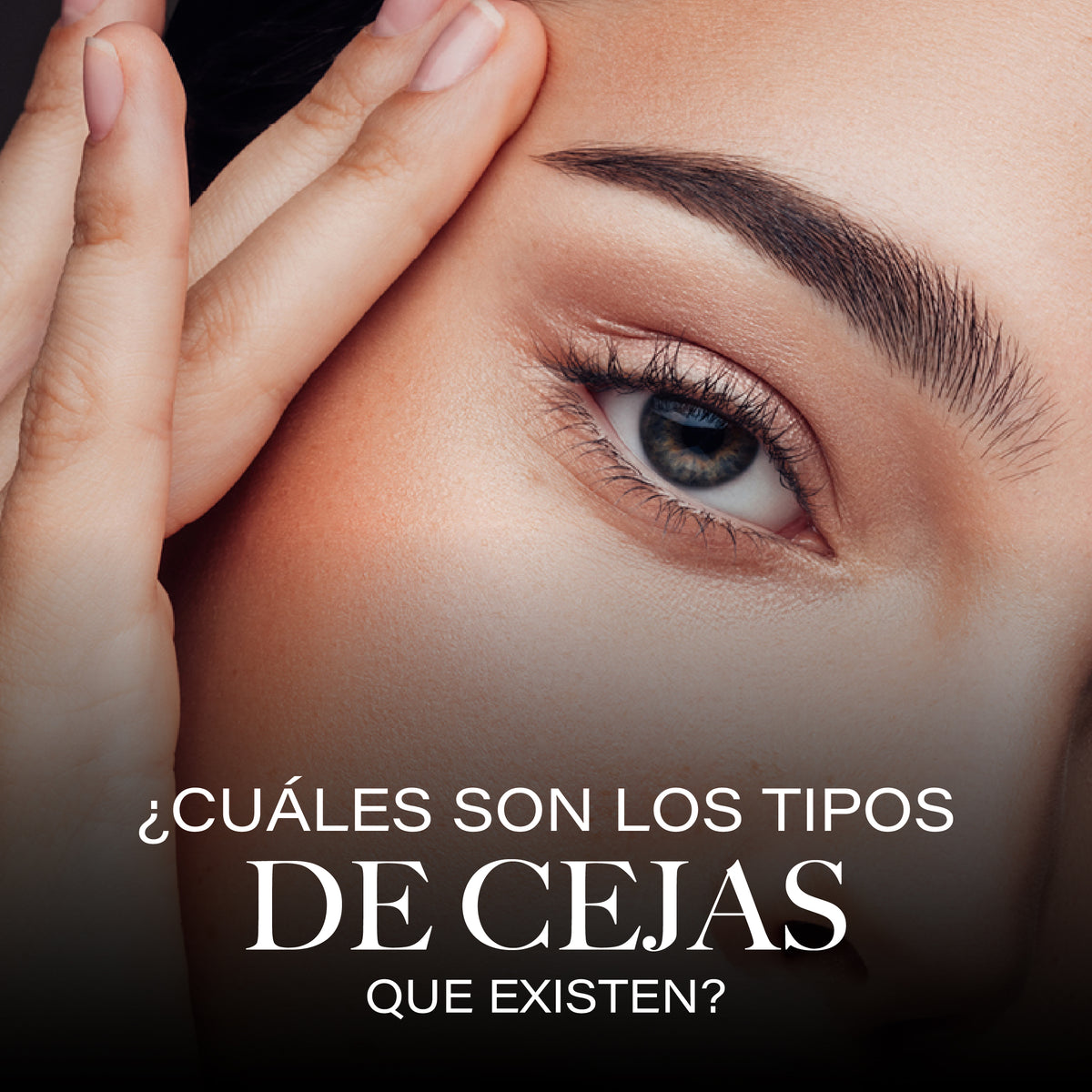 ¿Cuáles son todos los tipos de ceja que existen? – divya